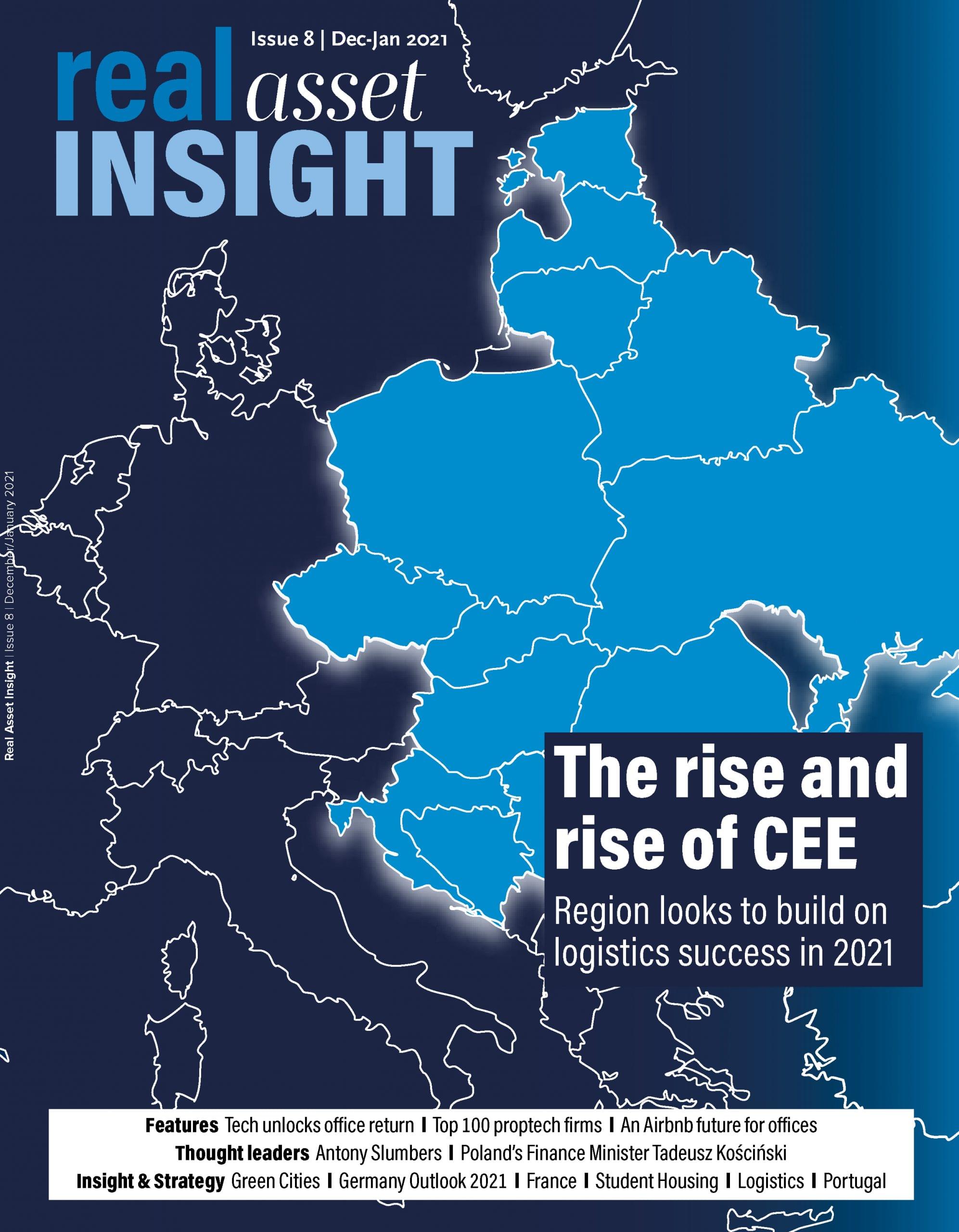 Real Asset Insight #8 - December 2020 - January 2021 - Real Asset Insight