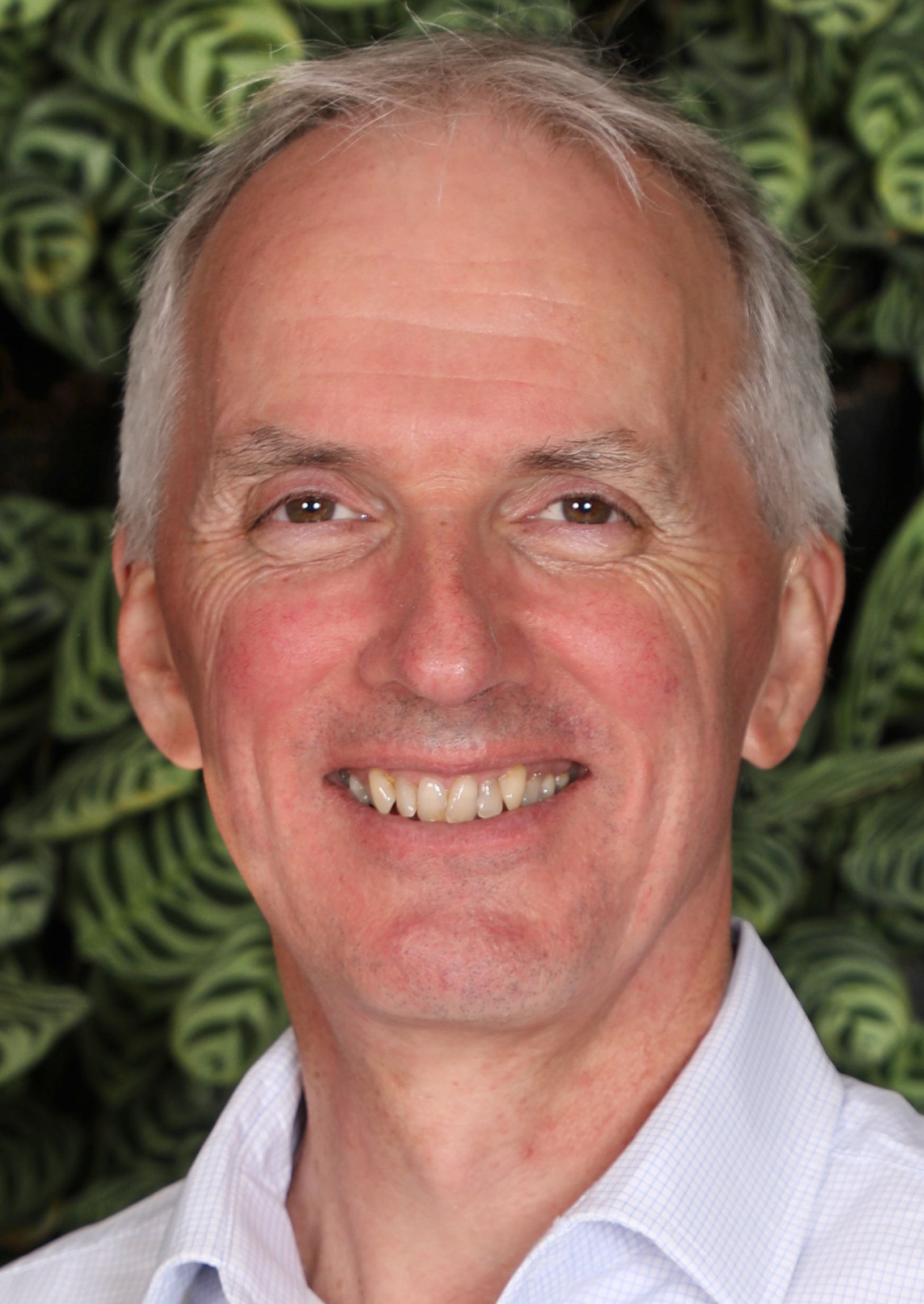 Orchard Street Impact Fund Raises 90m At First Close Real Asset Insight orchard-street-impact-fund-raises-90m-at-first-close-real-asset-insight