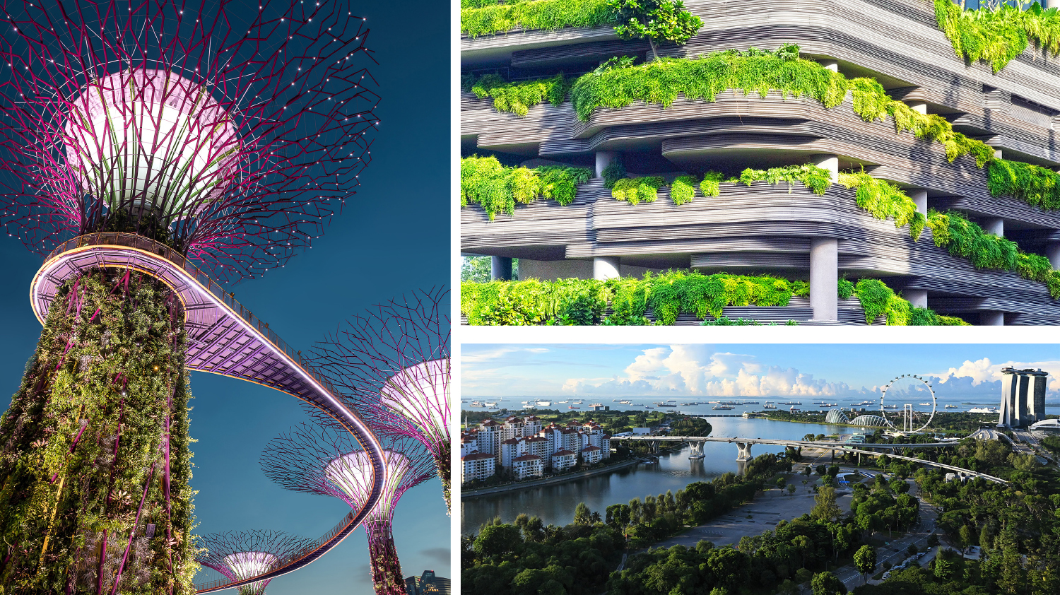 In pictures: Singapore can be Europe’s green light - Real Asset Insight