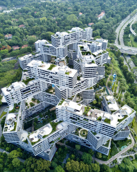 The Interlace in Singapore wins 10 Year Award for sustainability - Real ...